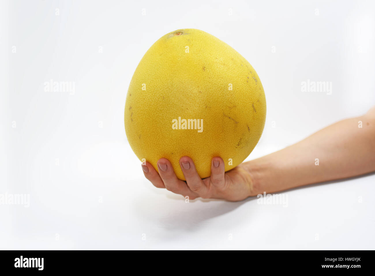 Woman hand with big yellow Pomelo. Isolated on white background Stock ...