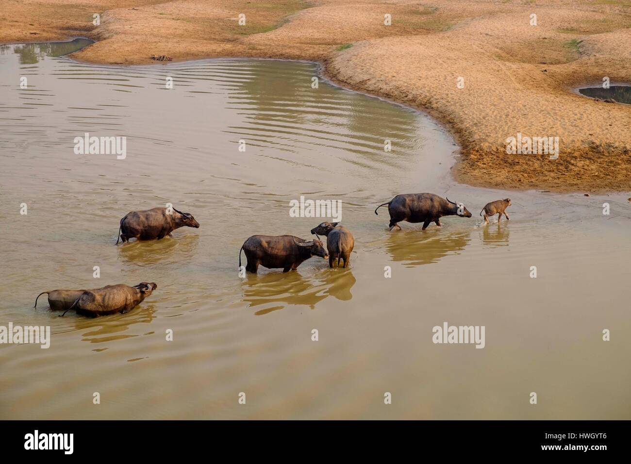 Stung sen river hi-res stock photography and images - Alamy