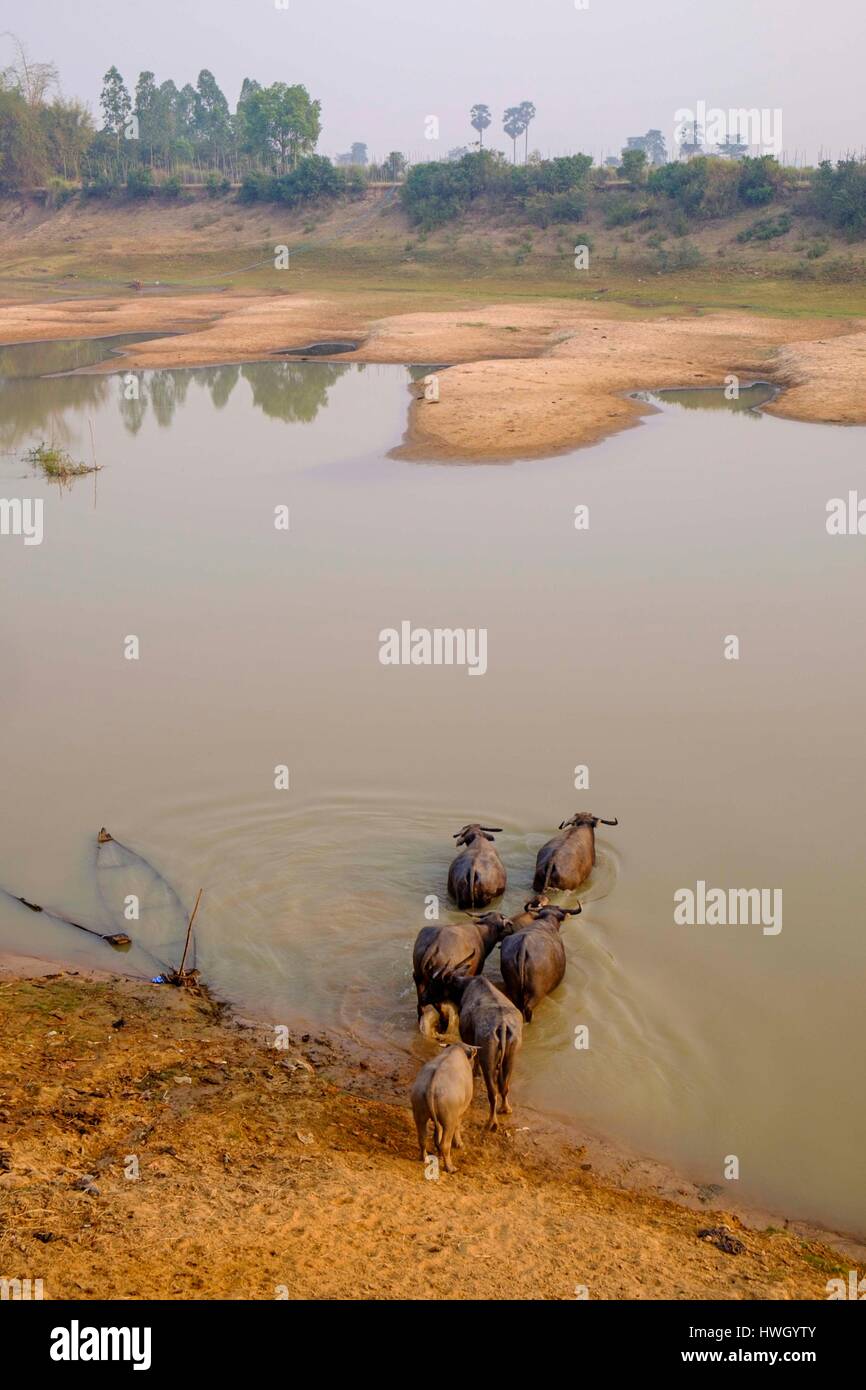 Stung sen river hi-res stock photography and images - Alamy