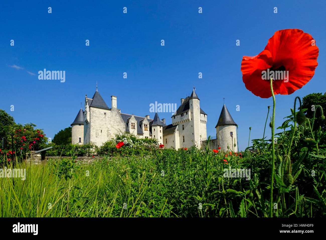 France, Indre et Loire, Touraine, Lemere, castle of Rivau 15 th century ...