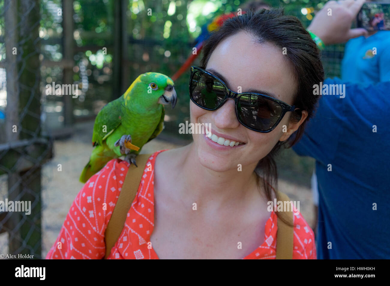 Woman with parakeet hi-res stock photography and images - Alamy