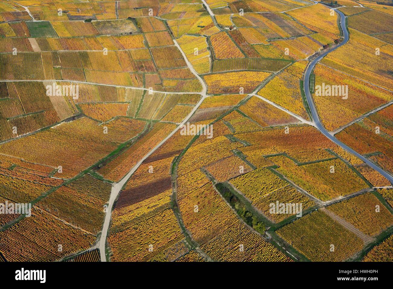 France, Marne, hillsides of Champagne listed as World Heritage by ...