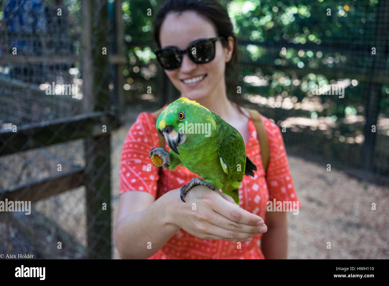 woman with parrot Stock Photo - Alamy