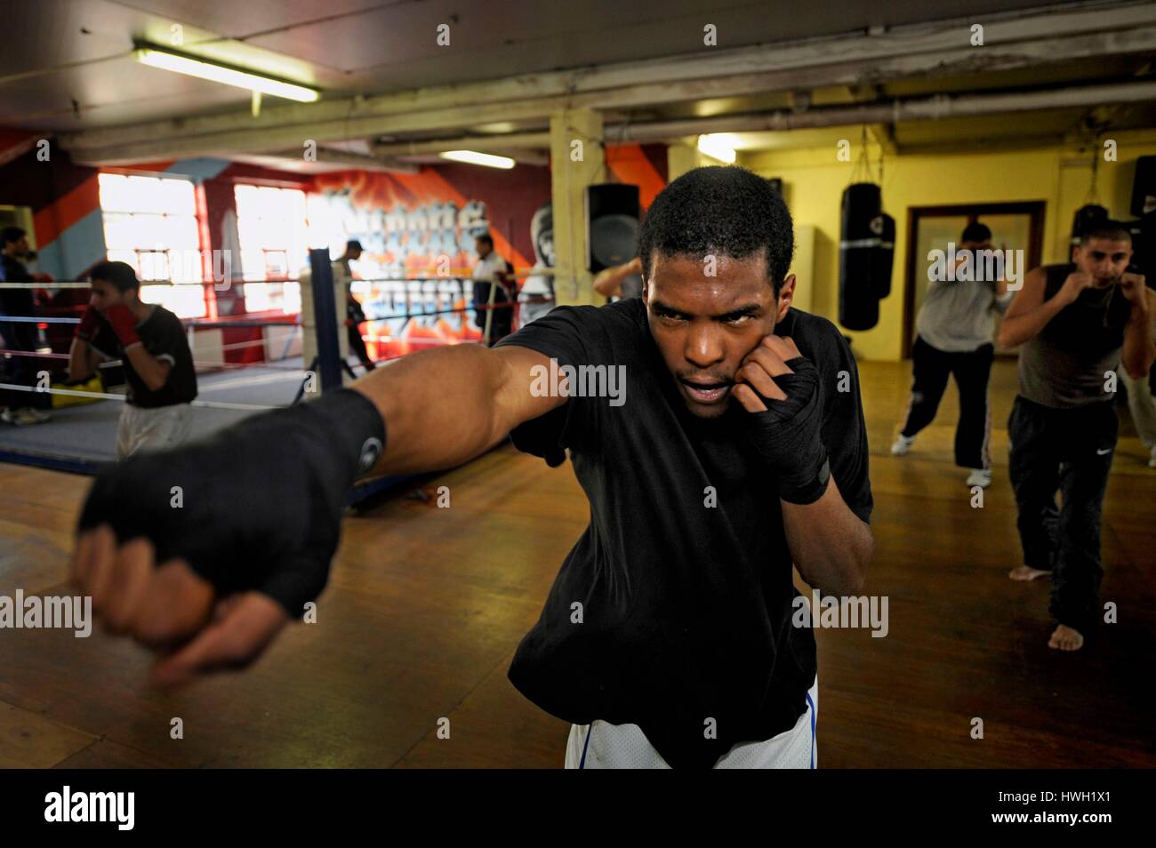 Belgium boxer hi-res stock photography and images - Alamy