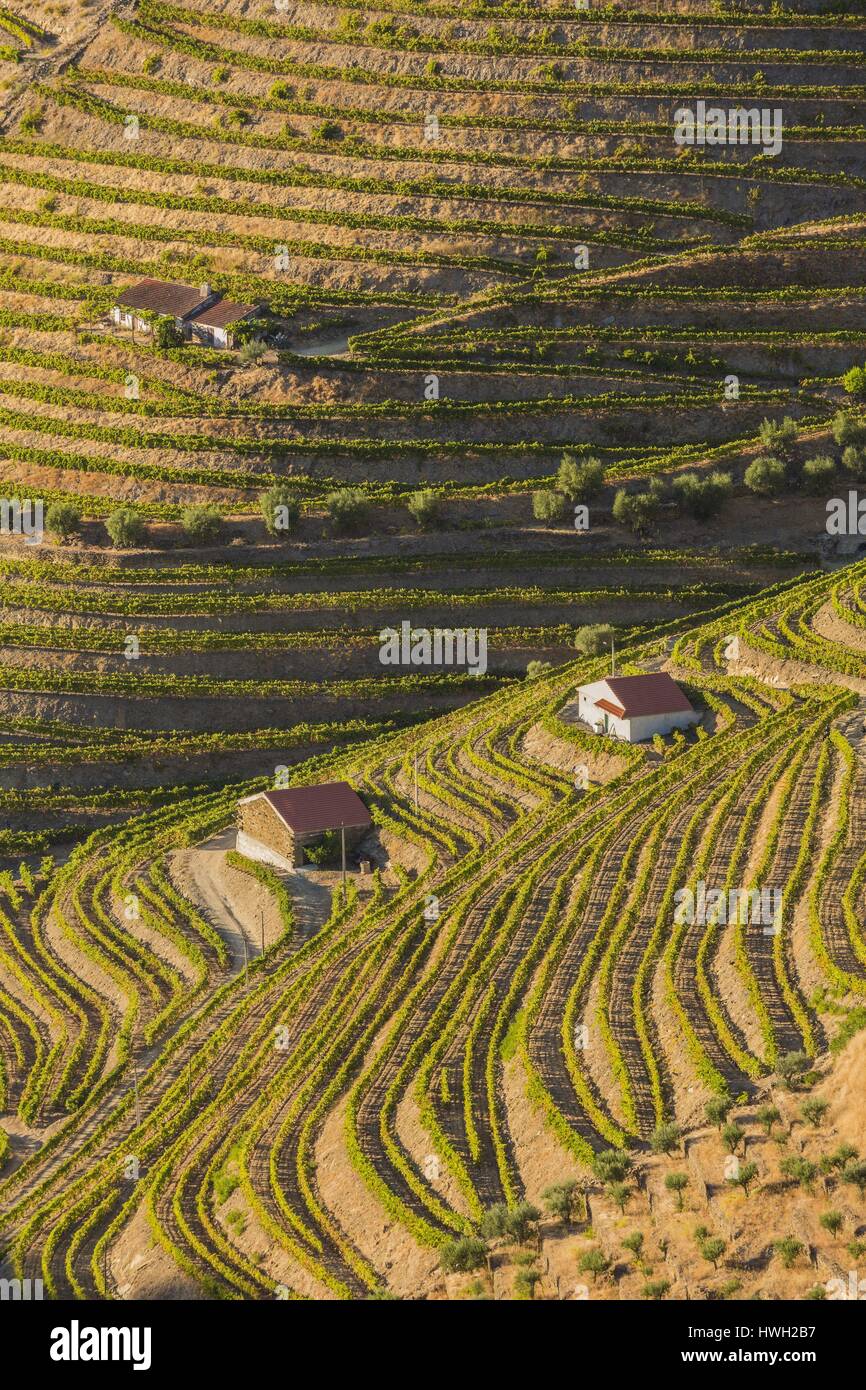 Portugal, Upper Douro Valley and its vineyards listed as UNESCO World ...