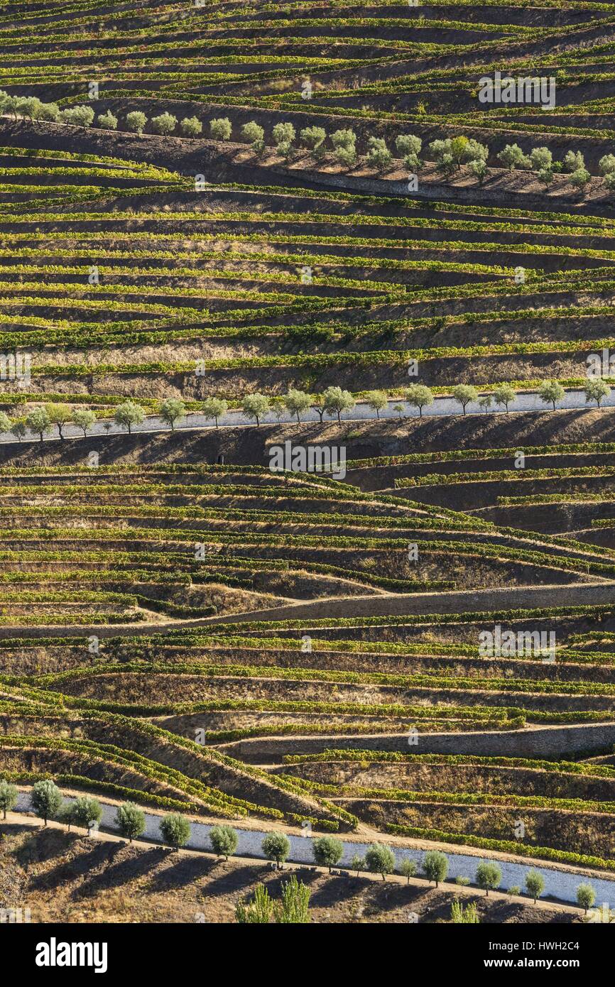 Portugal, Upper Douro Valley and its vineyards listed as UNESCO World ...