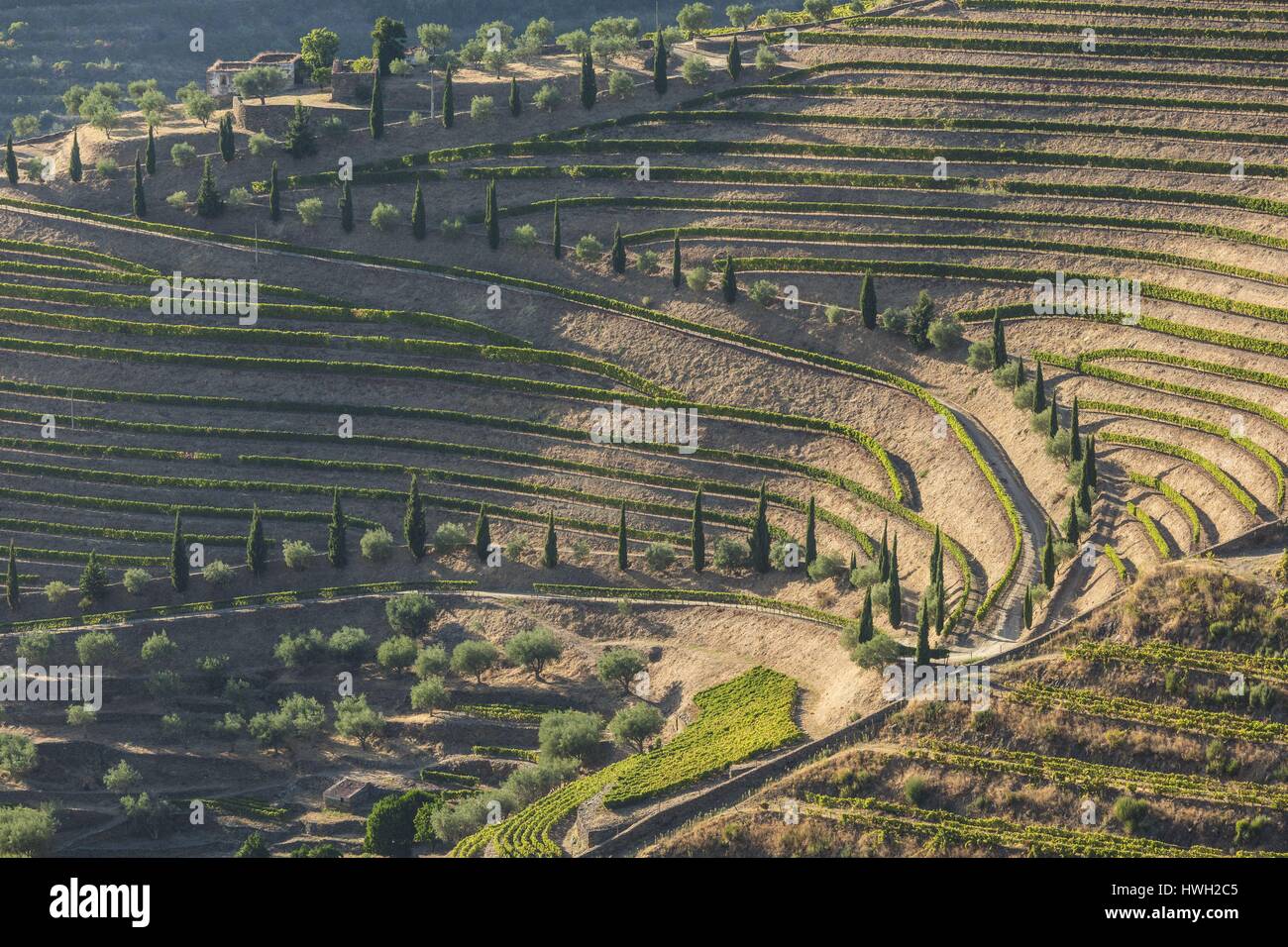 Portugal, Upper Douro Valley and its vineyards listed as UNESCO World ...