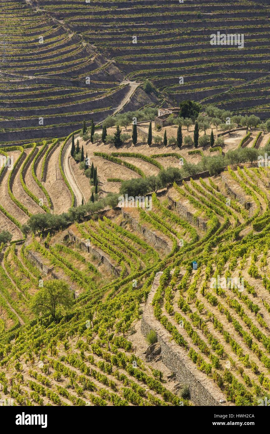 Portugal, Upper Douro Valley and its vineyards listed as UNESCO World ...