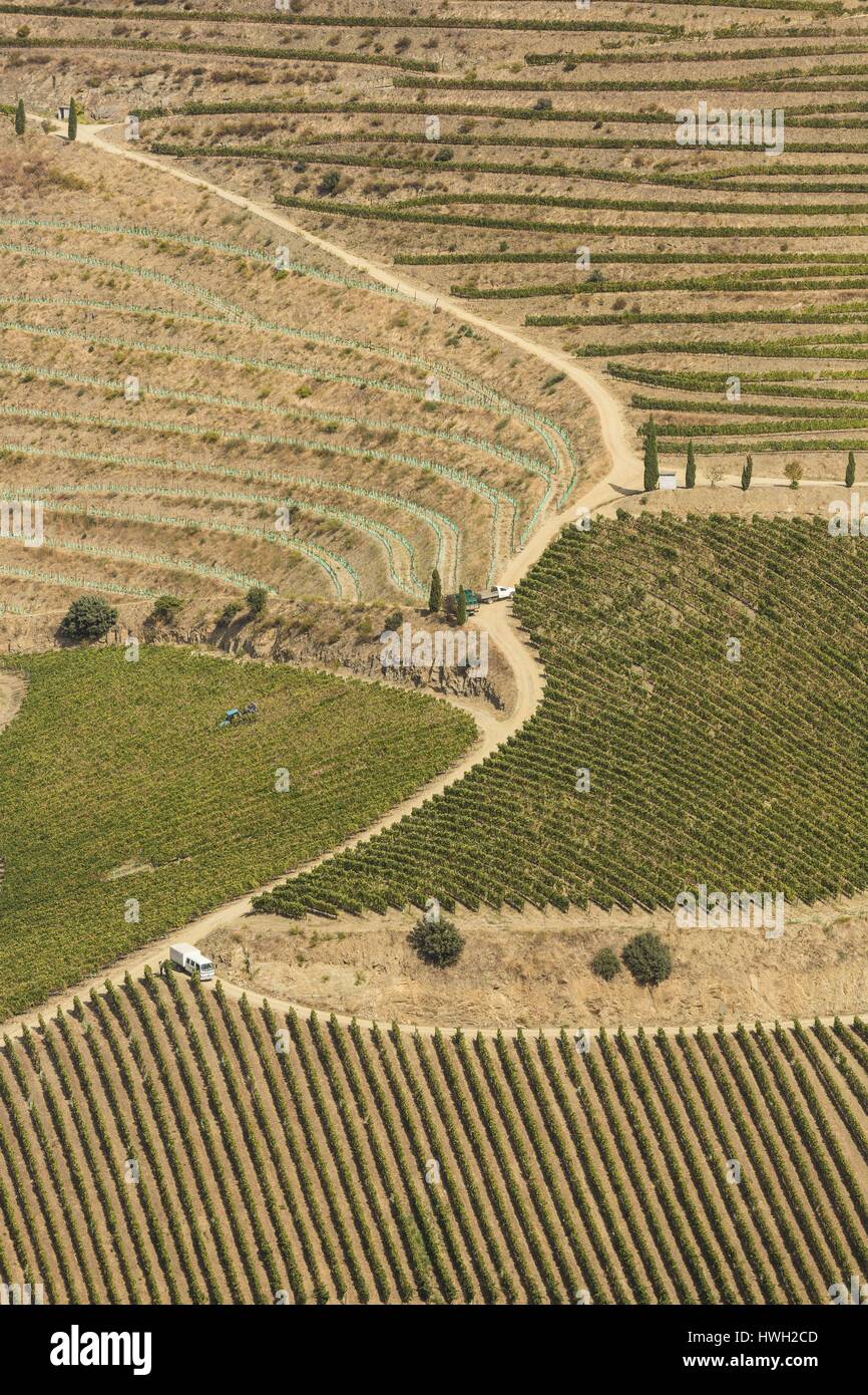 Portugal, Upper Douro Valley and its vineyards listed as UNESCO World ...
