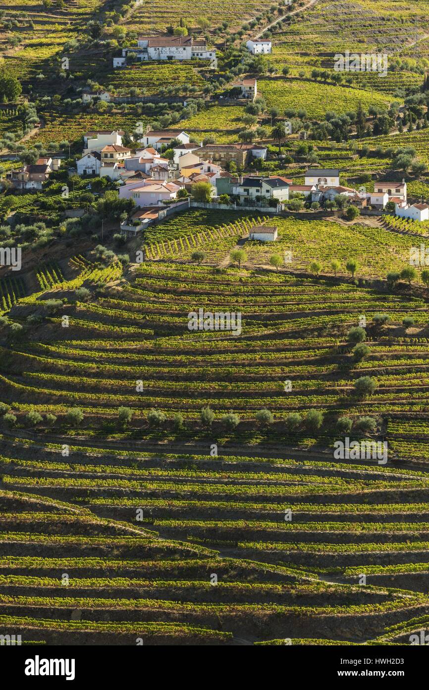 Portugal, Upper Douro Valley and its vineyards listed as UNESCO World ...