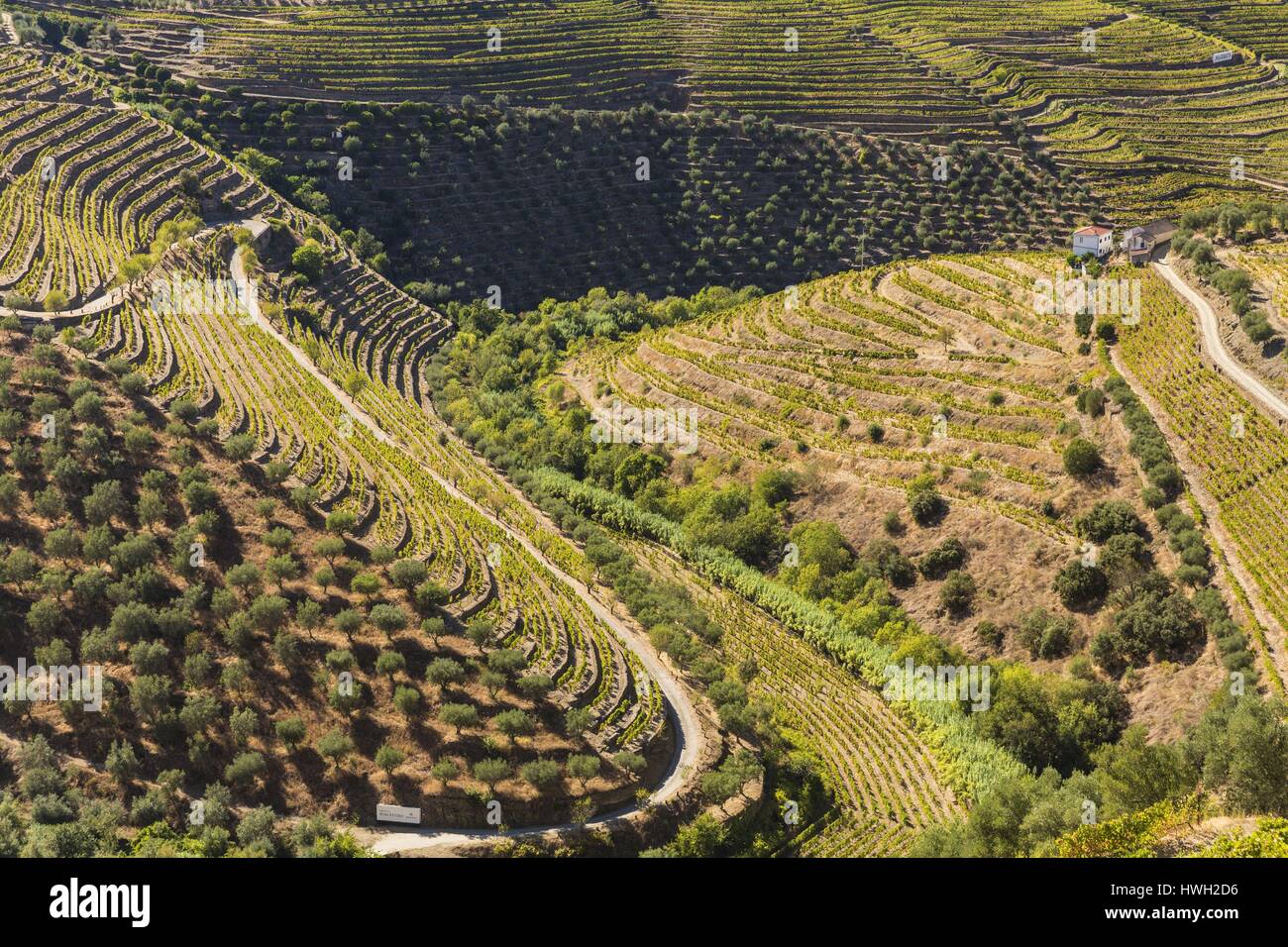 Portugal, Upper Douro Valley and its vineyards listed as UNESCO World ...