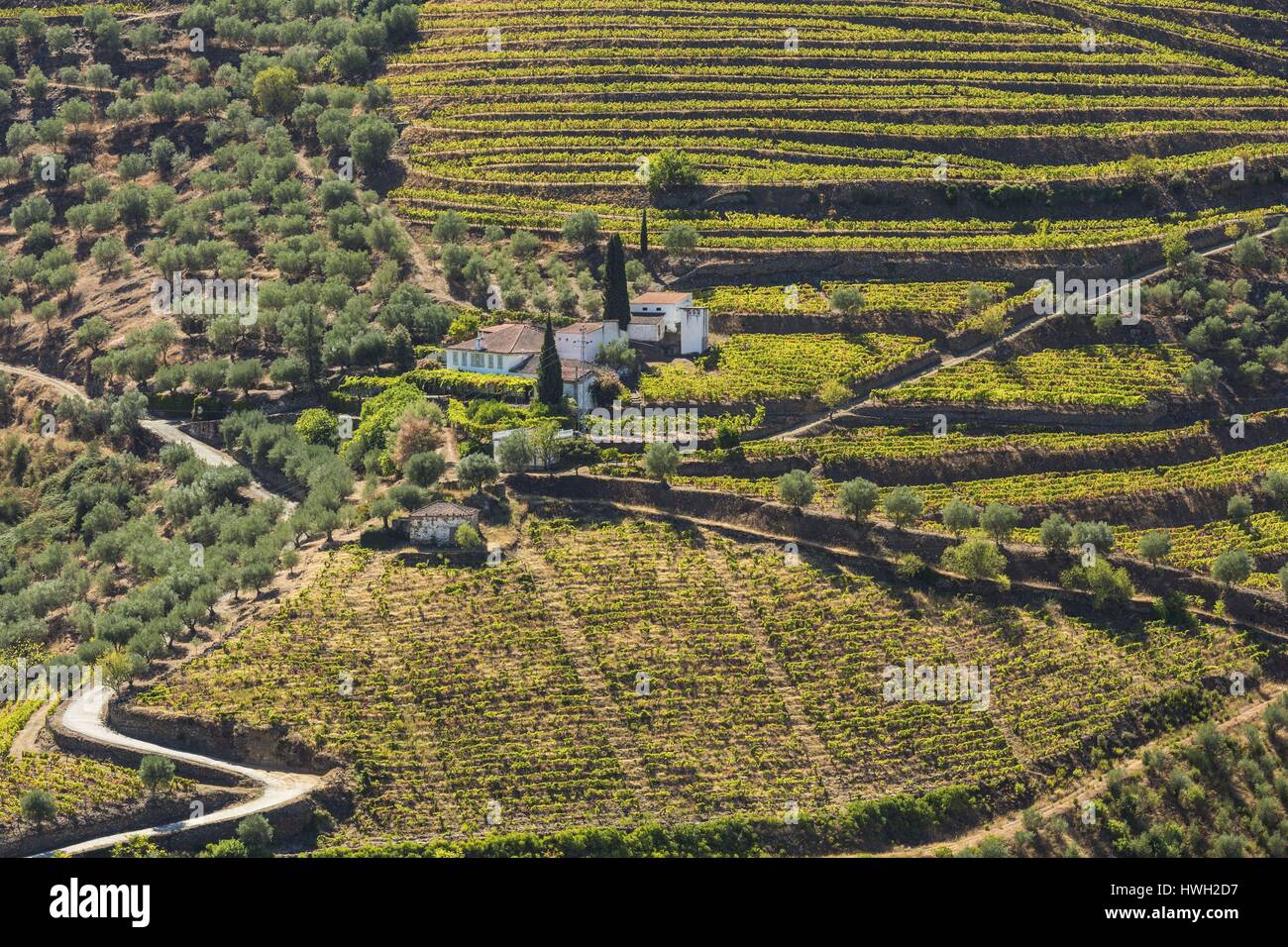 Entre Douro E Minho Province Stock Photos & Entre Douro E Minho ...