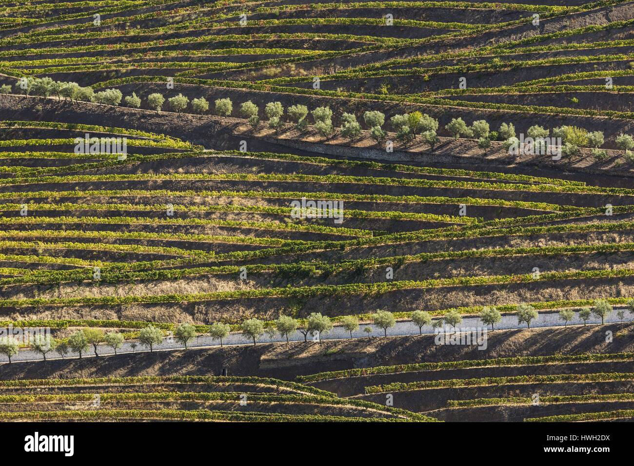 Portugal, Upper Douro Valley and its vineyards listed as UNESCO World ...