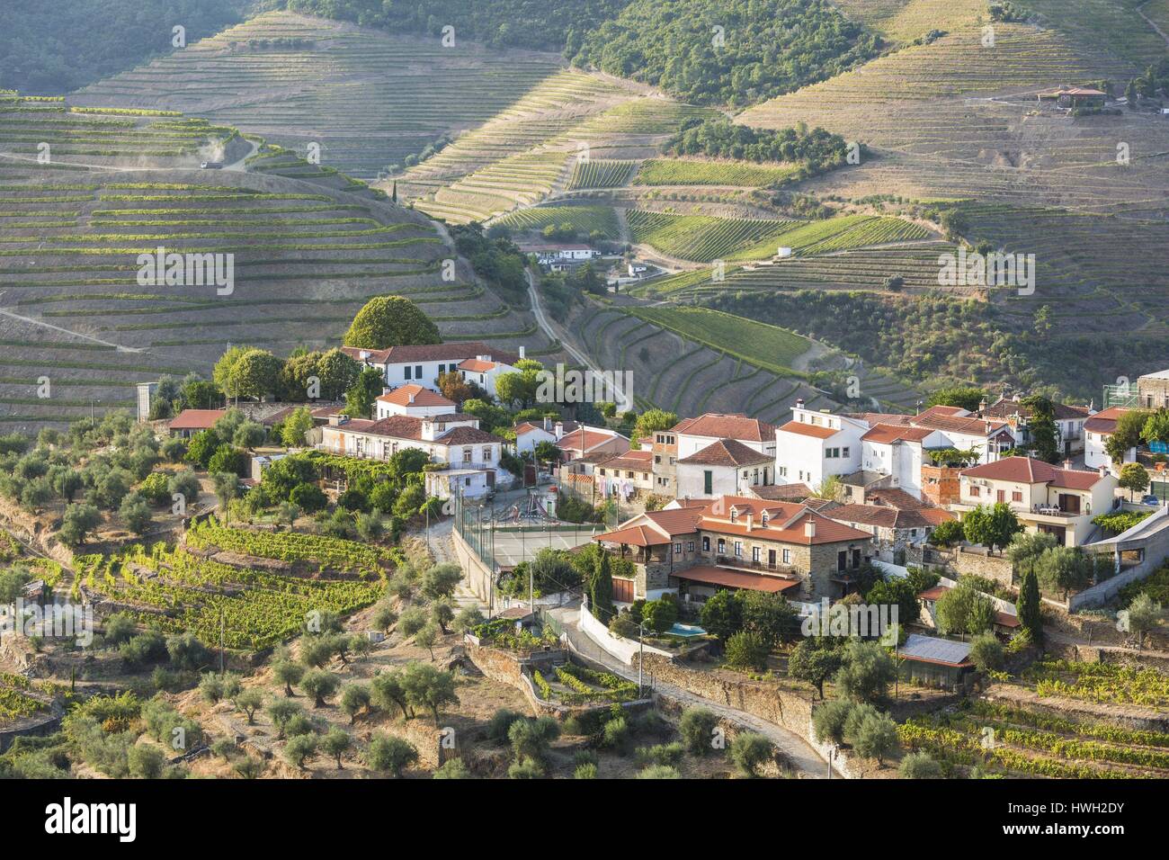 Portugal vale do douro valley vineyards hi-res stock photography and ...