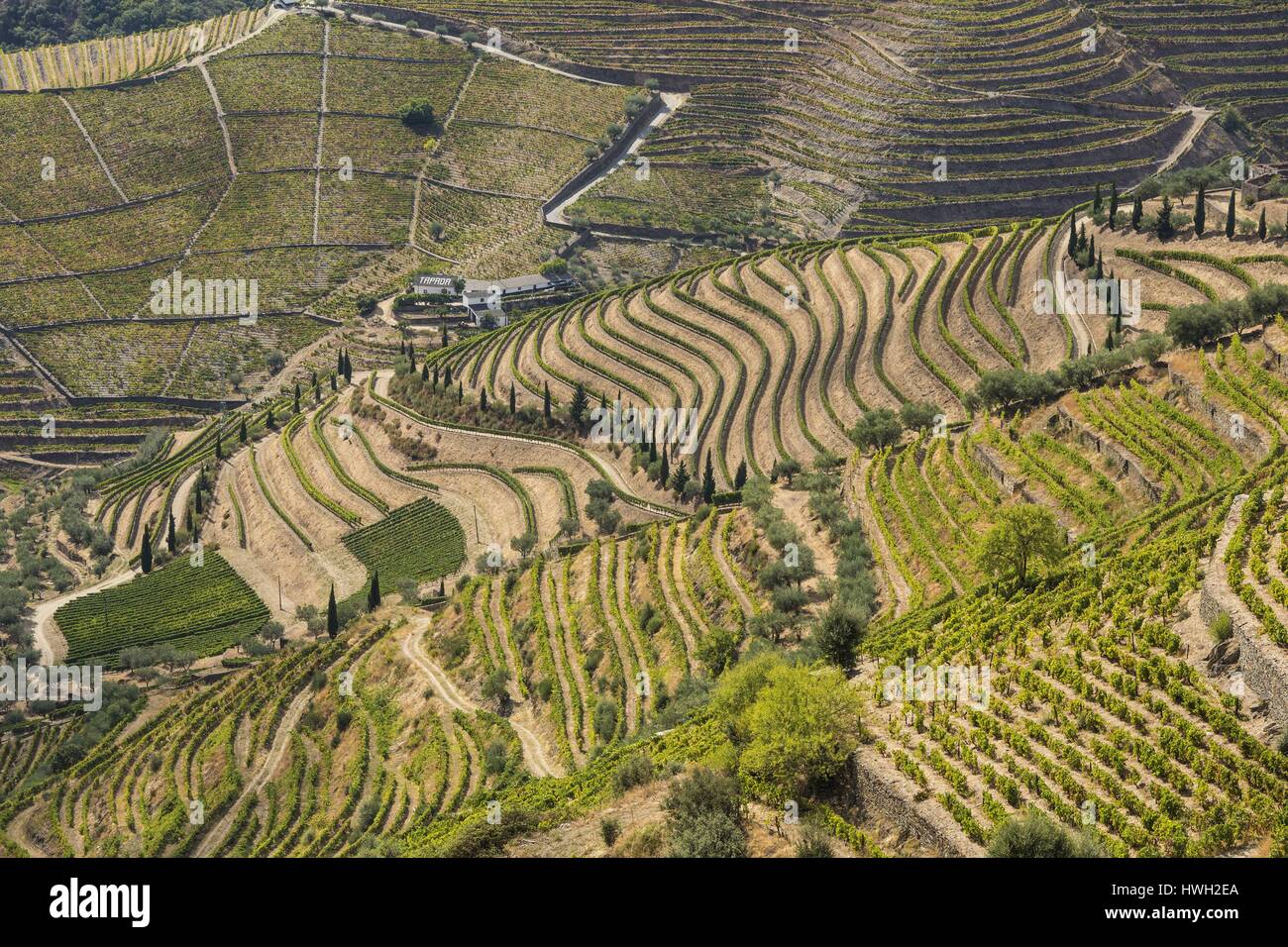 Portugal, Upper Douro Valley and its vineyards listed as UNESCO World ...