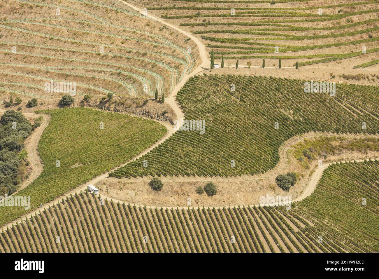 Portugal, Upper Douro Valley and its vineyards listed as UNESCO World ...