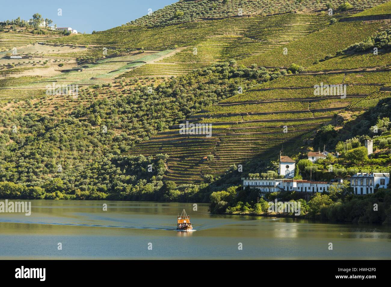 Portugal, Upper Douro Valley and its vineyards listed as UNESCO World ...
