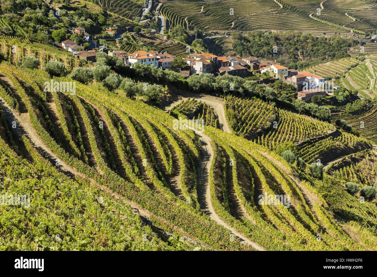 Portugal, Upper Douro Valley and its vineyards listed as UNESCO World ...