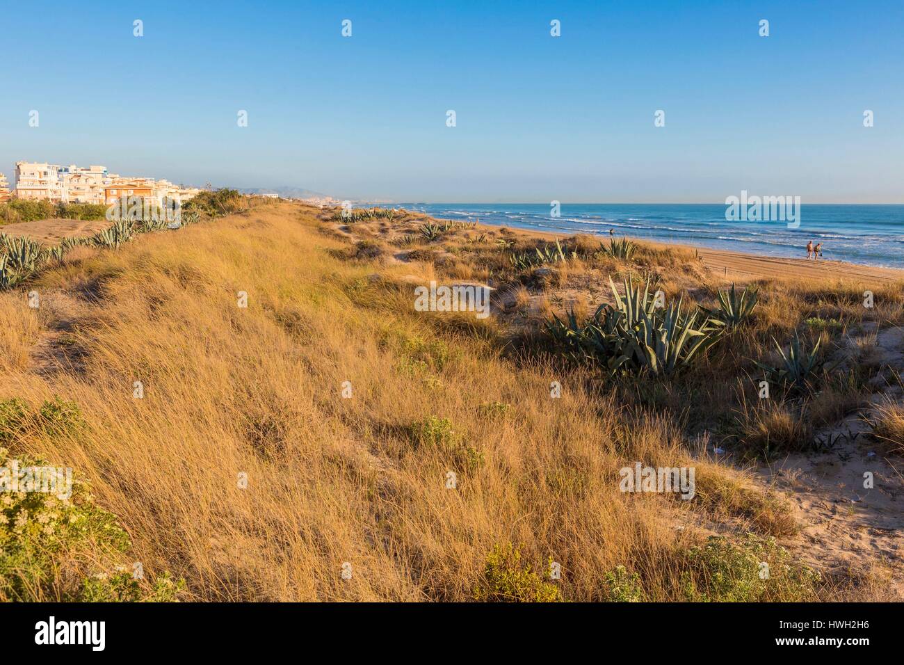 Spain, Valencian Community, Oliva beach Stock Photo - Alamy