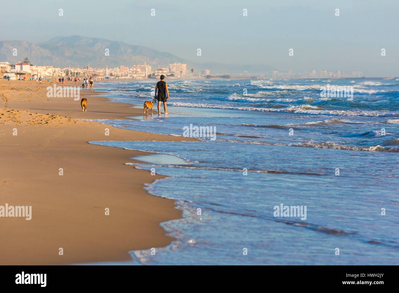 Oliva spain hi-res stock photography and images - Alamy