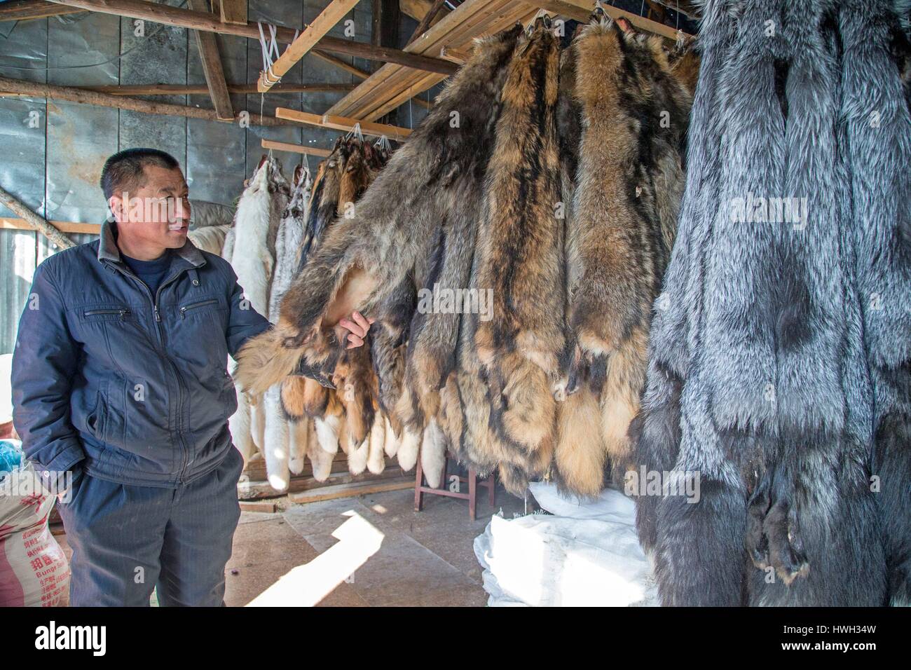 Fox farm china hi-res stock photography and images - Alamy