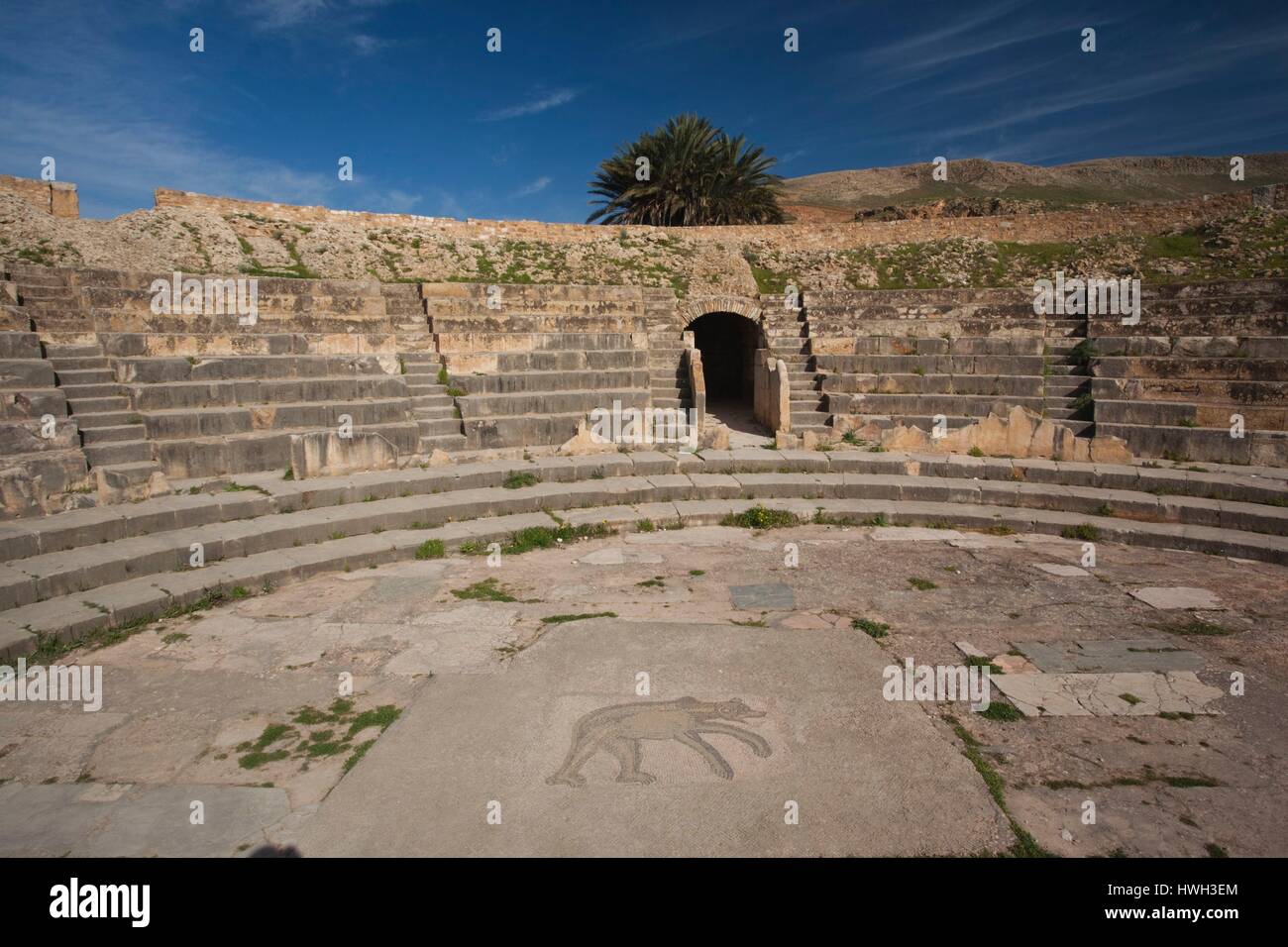 Tunisia, Northern Tunisia, Bulla Regia, ruins of underground Roman-era ...