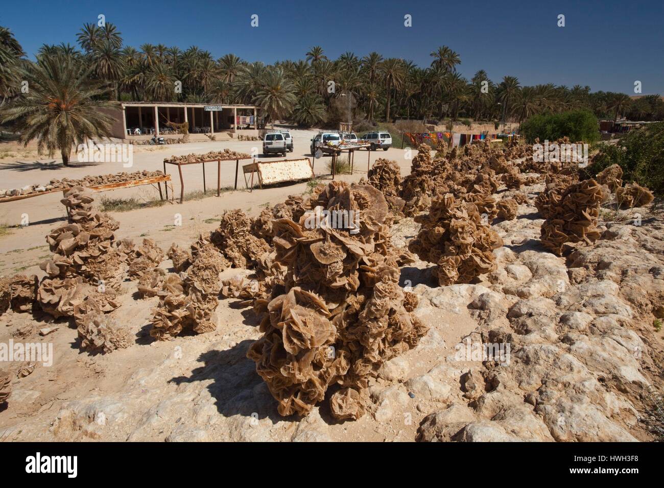 Tunisia, The Jerid Area, Gorges de Selja, Mides, souvenir desert rose ...