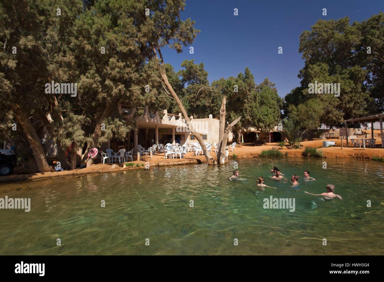 Tunisia, Ksour Area, Ksar Ghilane, oasis spring with swimmers Stock ...