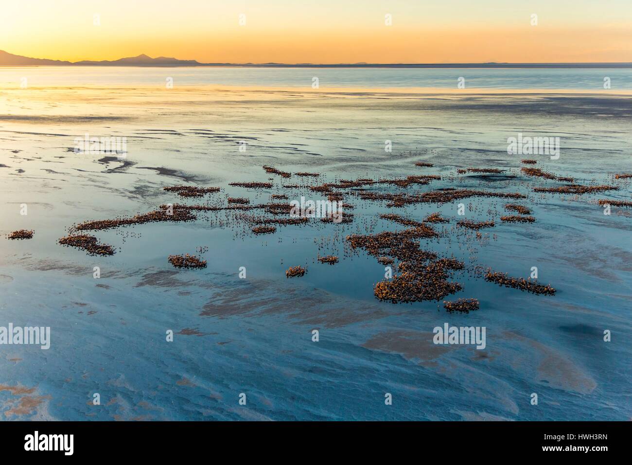 Bolivia, Daniel Campos Province, Potosi, Salar de Uyuni, Colchani ...