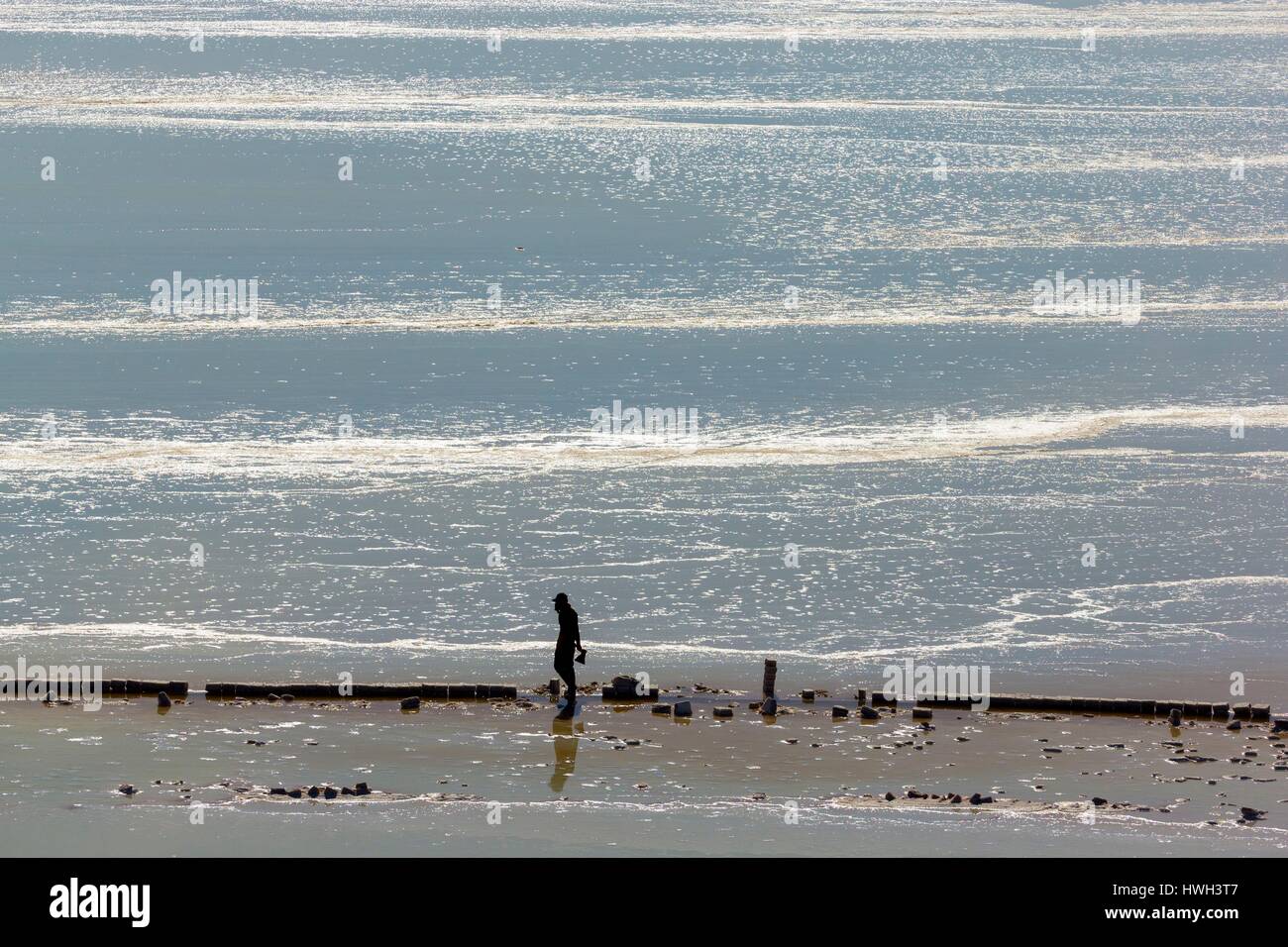 Bolivia, Daniel Campos Province, Potosi, Salar de Uyuni, Colchani, salt ...