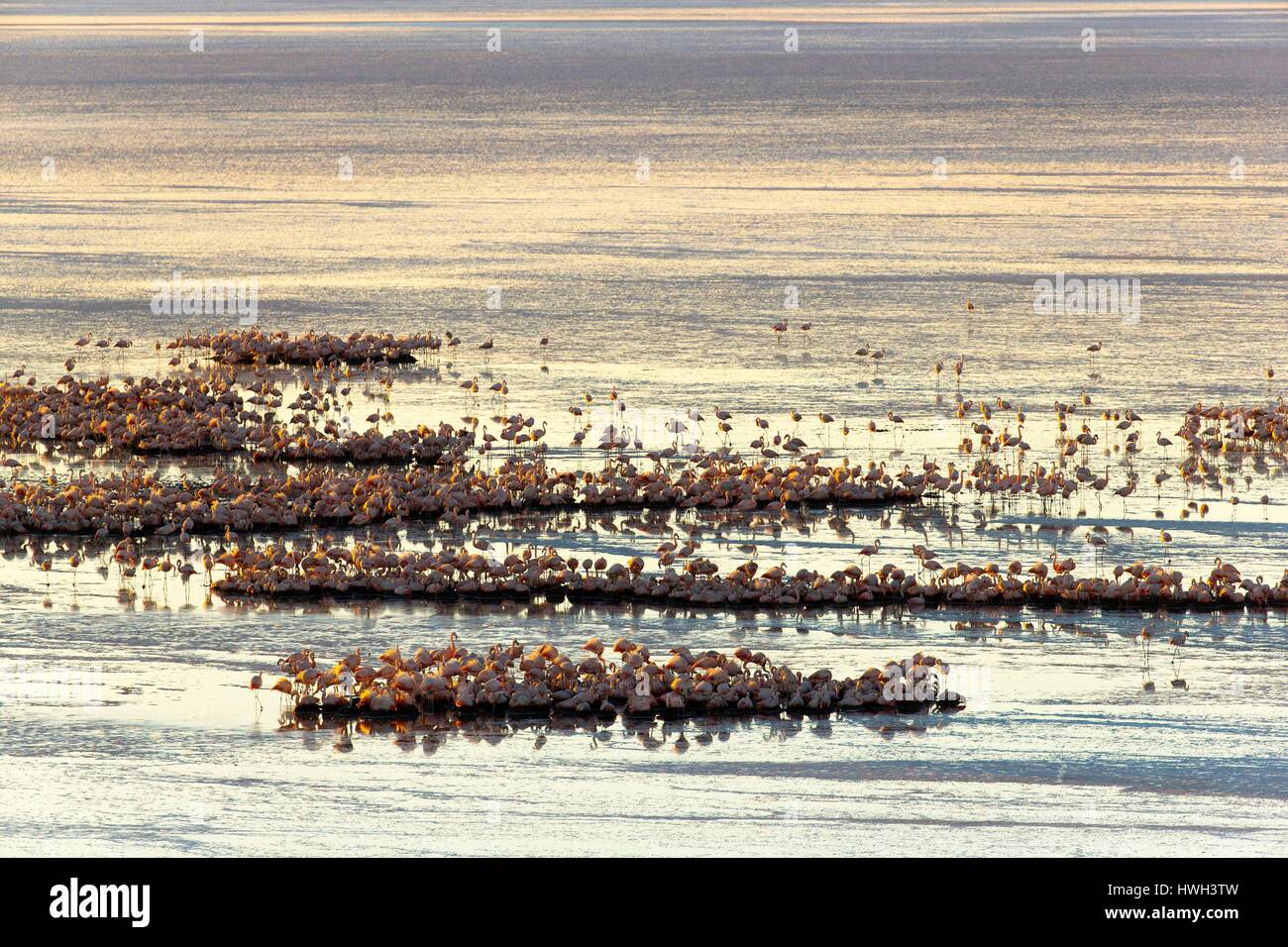 Bolivia, Daniel Campos Province, Potosi, Salar de Uyuni, Colchani ...