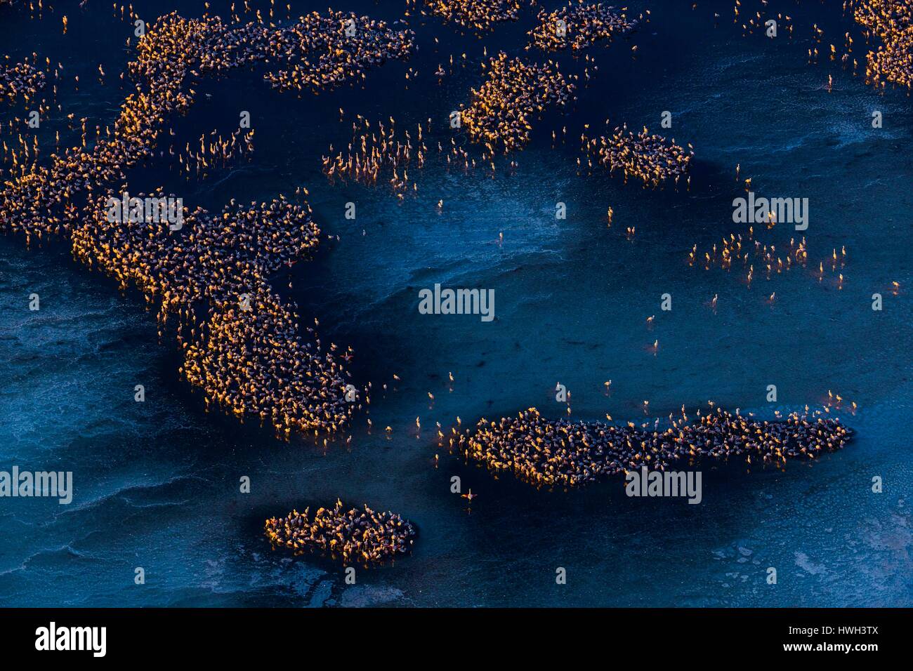 Bolivia, Daniel Campos Province, Potosi, Salar de Uyuni, Colchani ...