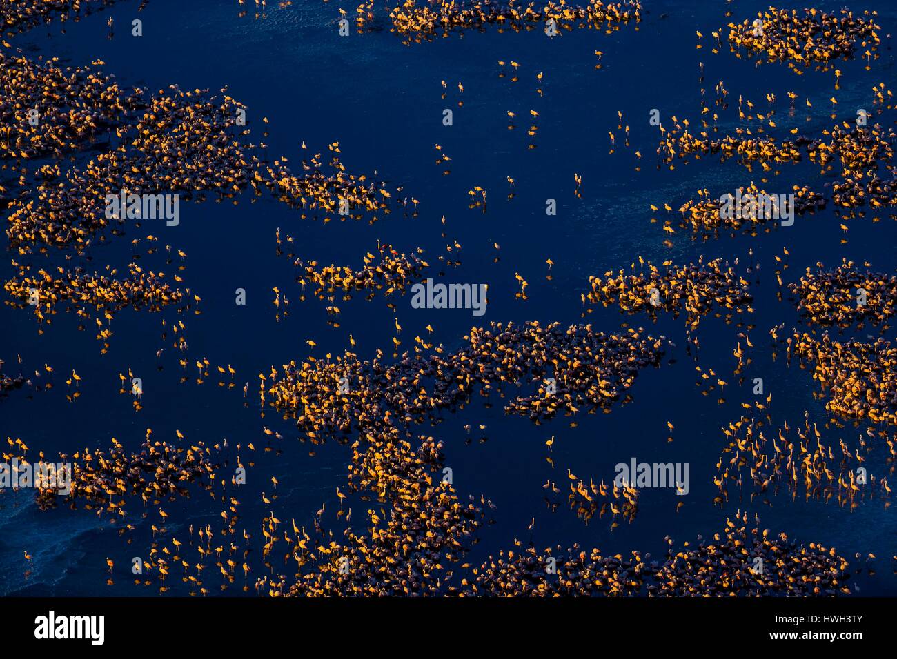 Bolivia, Daniel Campos Province, Potosi, Salar de Uyuni, Colchani ...