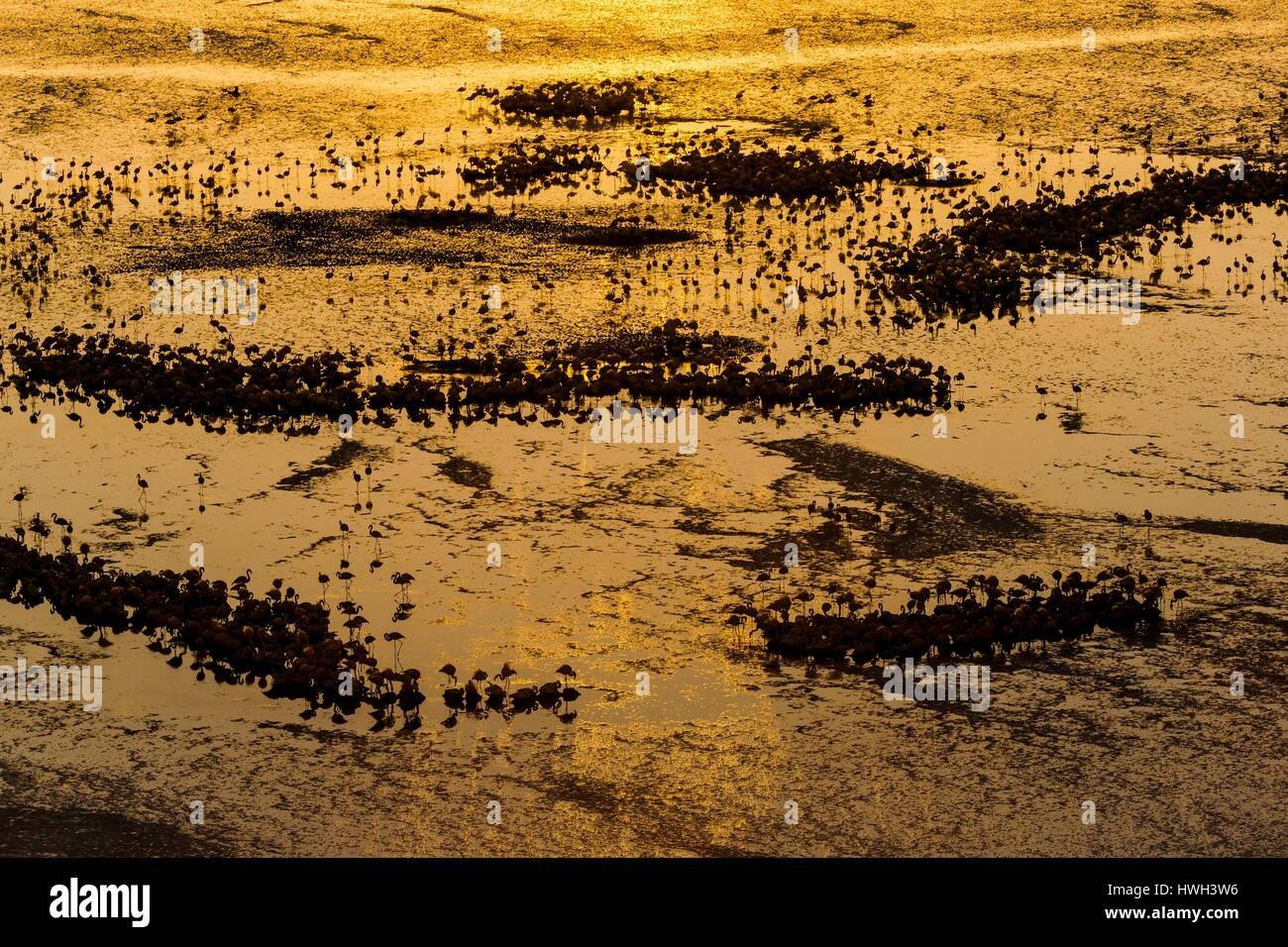Bolivia, Daniel Campos Province, Potosi, Salar de Uyuni, Colchani ...