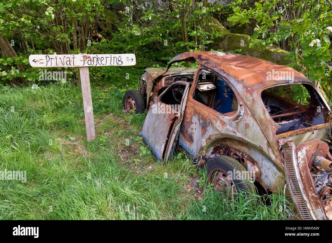 Wrecked Volkswagen left in the forest Stock Photo - Alamy