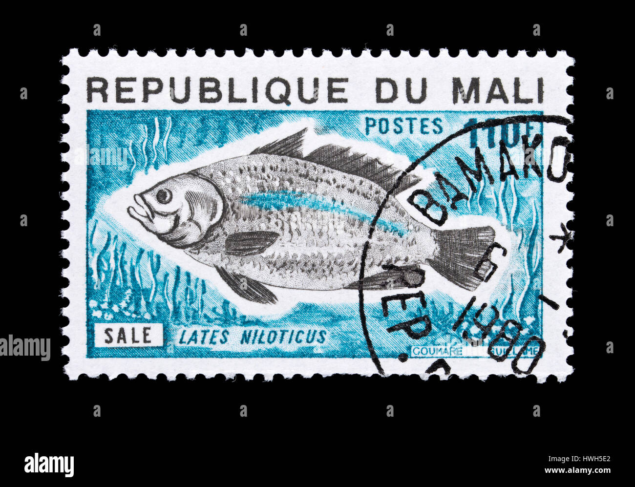 Postage stamp from Mali depicting a Nile Perch (Lates niloticus Stock ...