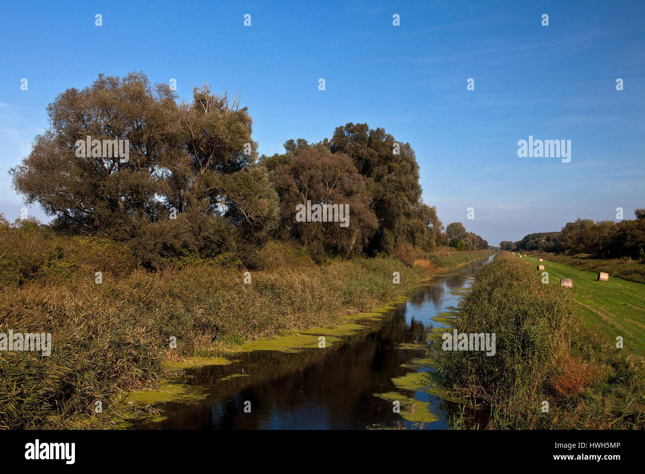 Andau hi-res stock photography and images - Alamy