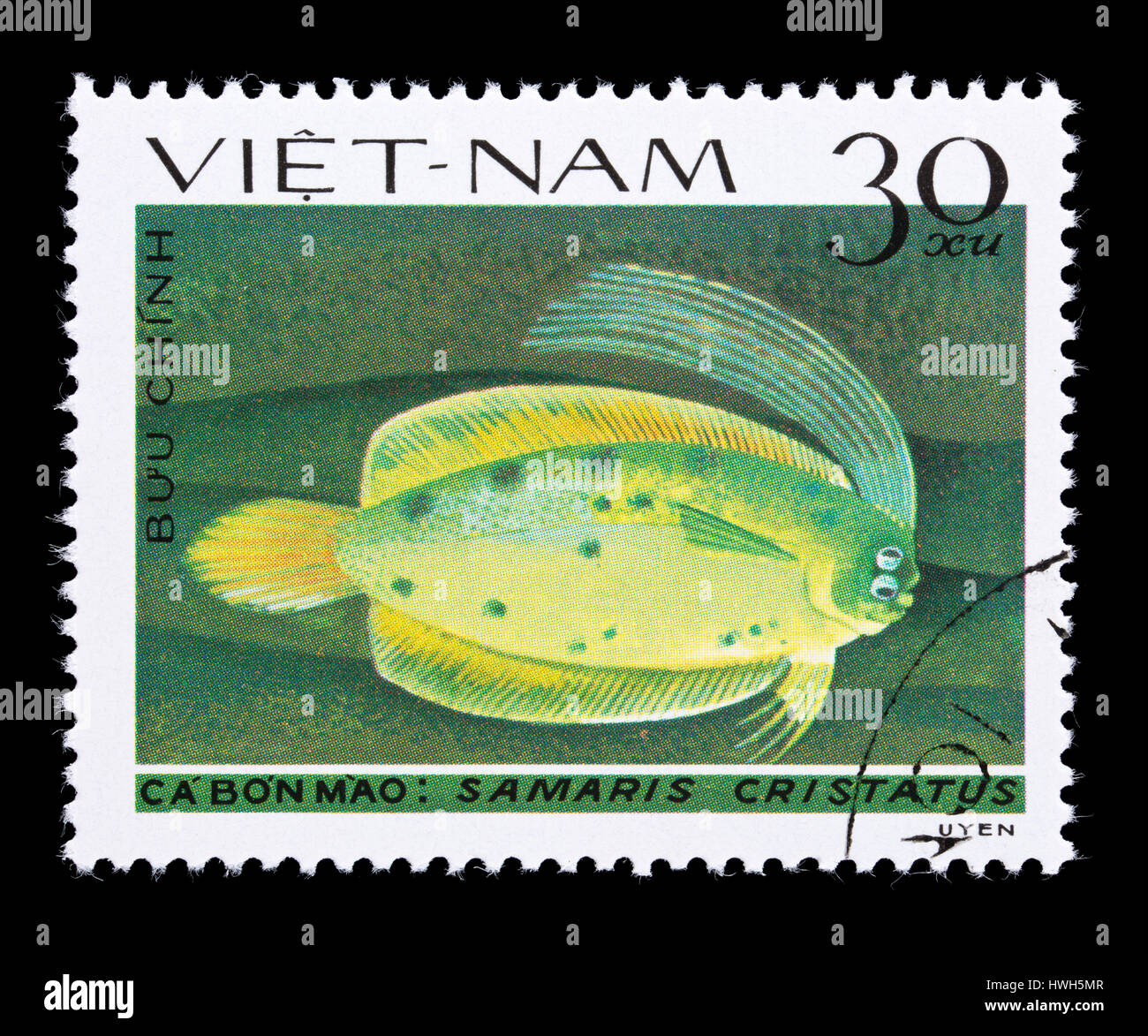 Postage stamp from Vietnam depicting a Cockatoo Flounder (Samaris ...