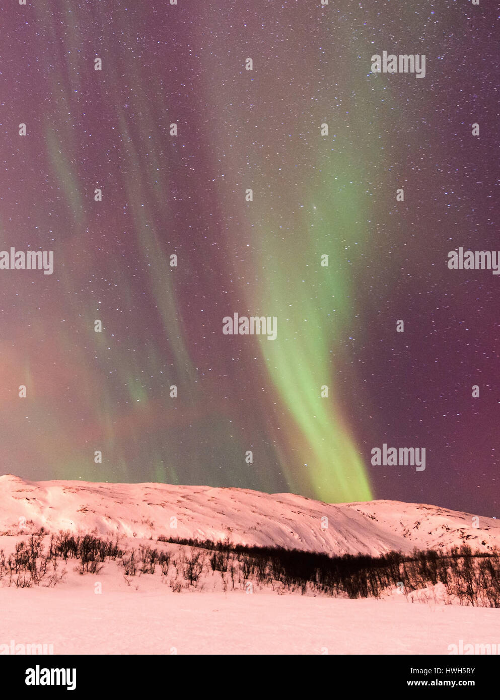 Light curves hi-res stock photography and images - Alamy