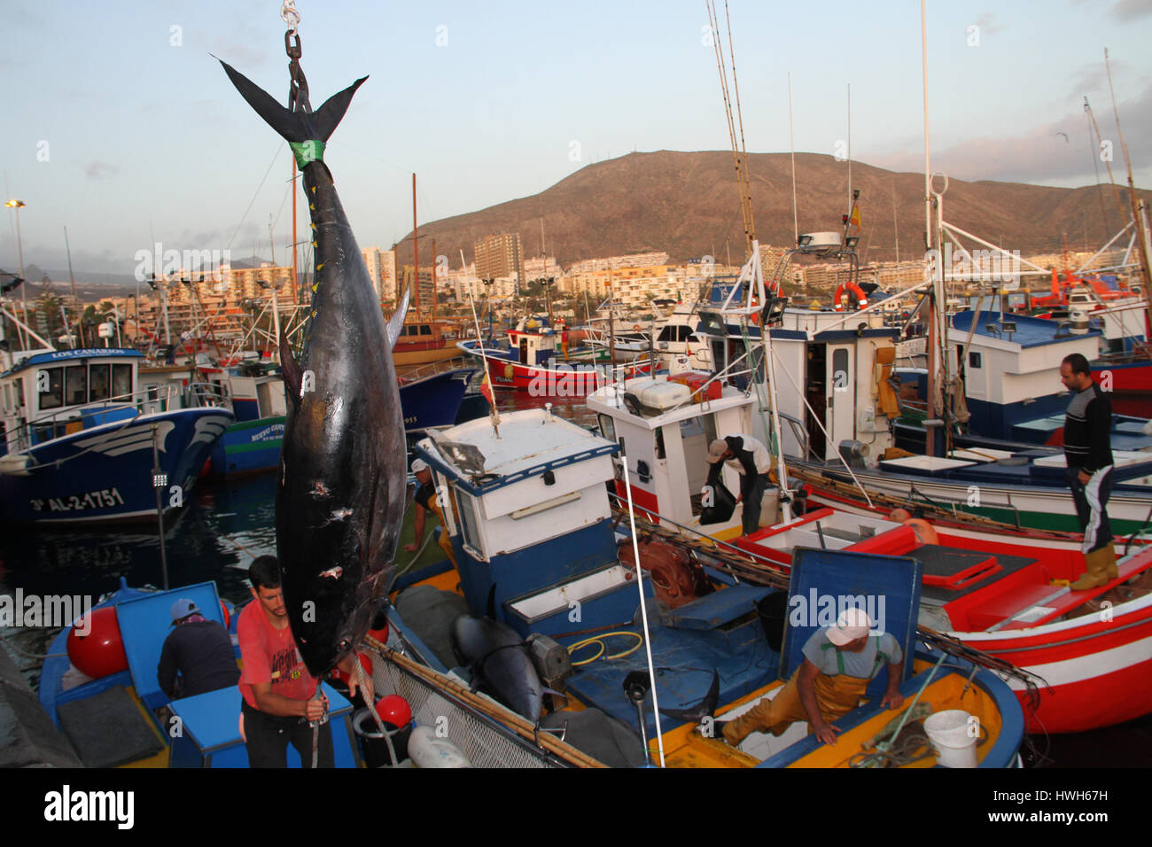Gran Canaria, Canary Islands. 20th Mar, 2017. The first day of fishing ...