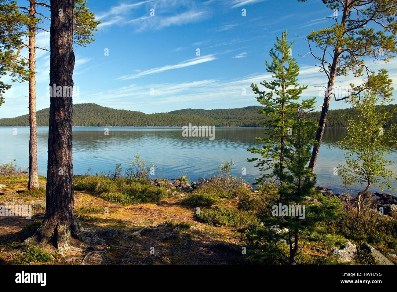 Inari lake, Finland, Finland, Iniari lake, Enare, brine, wood, forest ...