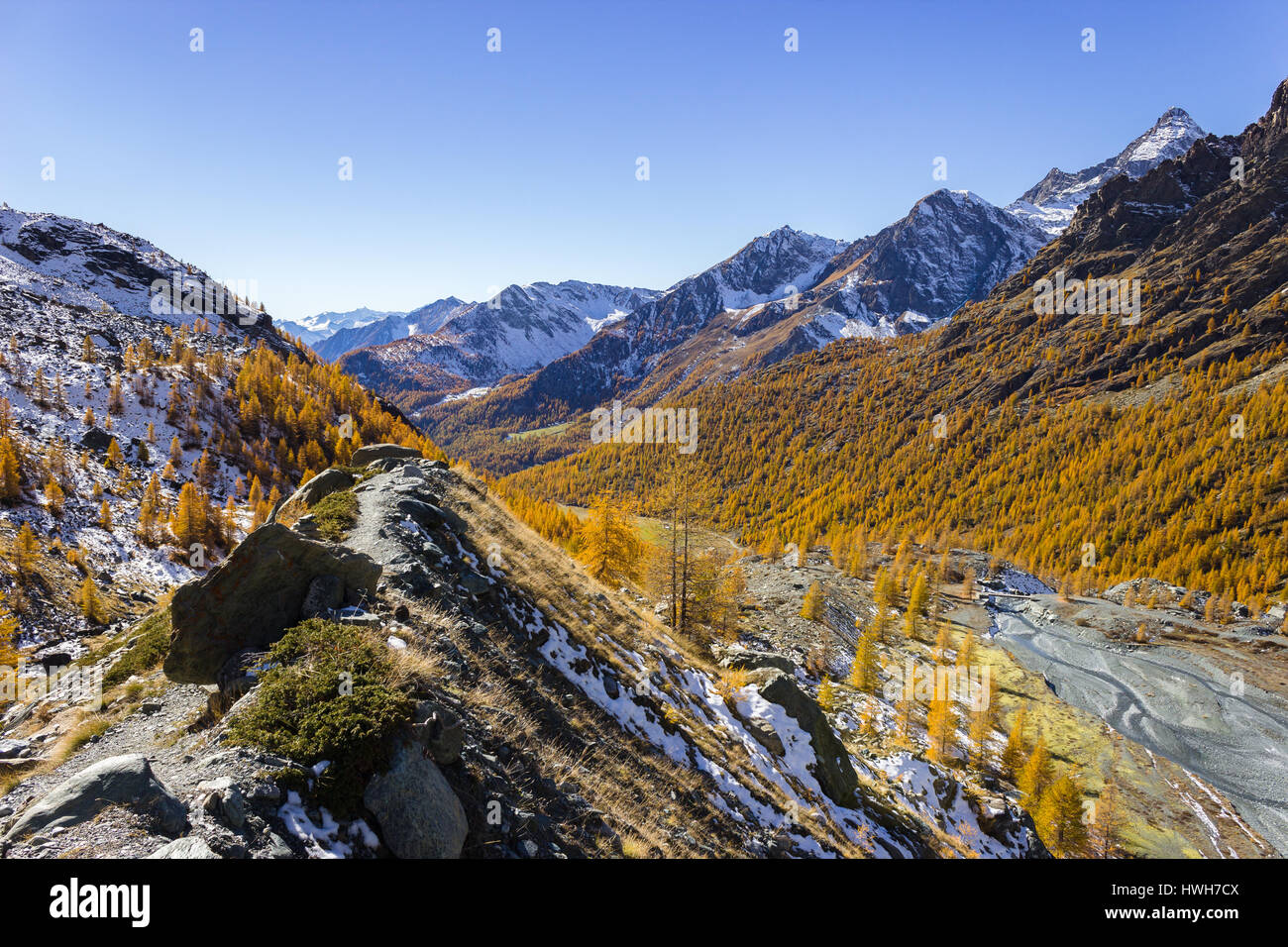 Fall Colors In High Mountain Larch Trees Lose Leaves Ayas Valley Aosta Italy Stock Photo Alamy fall-colors-in-high-mountain-larch-trees-lose-leaves-ayas-valley-aosta-italy-stock-photo-alamy