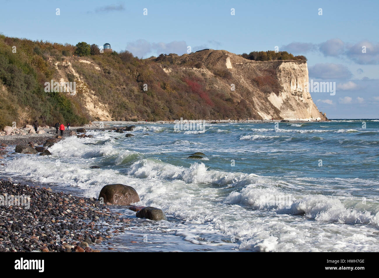 "Cape Arkona, Germany; Germany; Mecklenburg-West Pomerania; plants ...