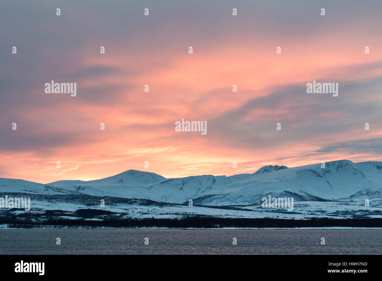 Kaleya hi-res stock photography and images - Alamy