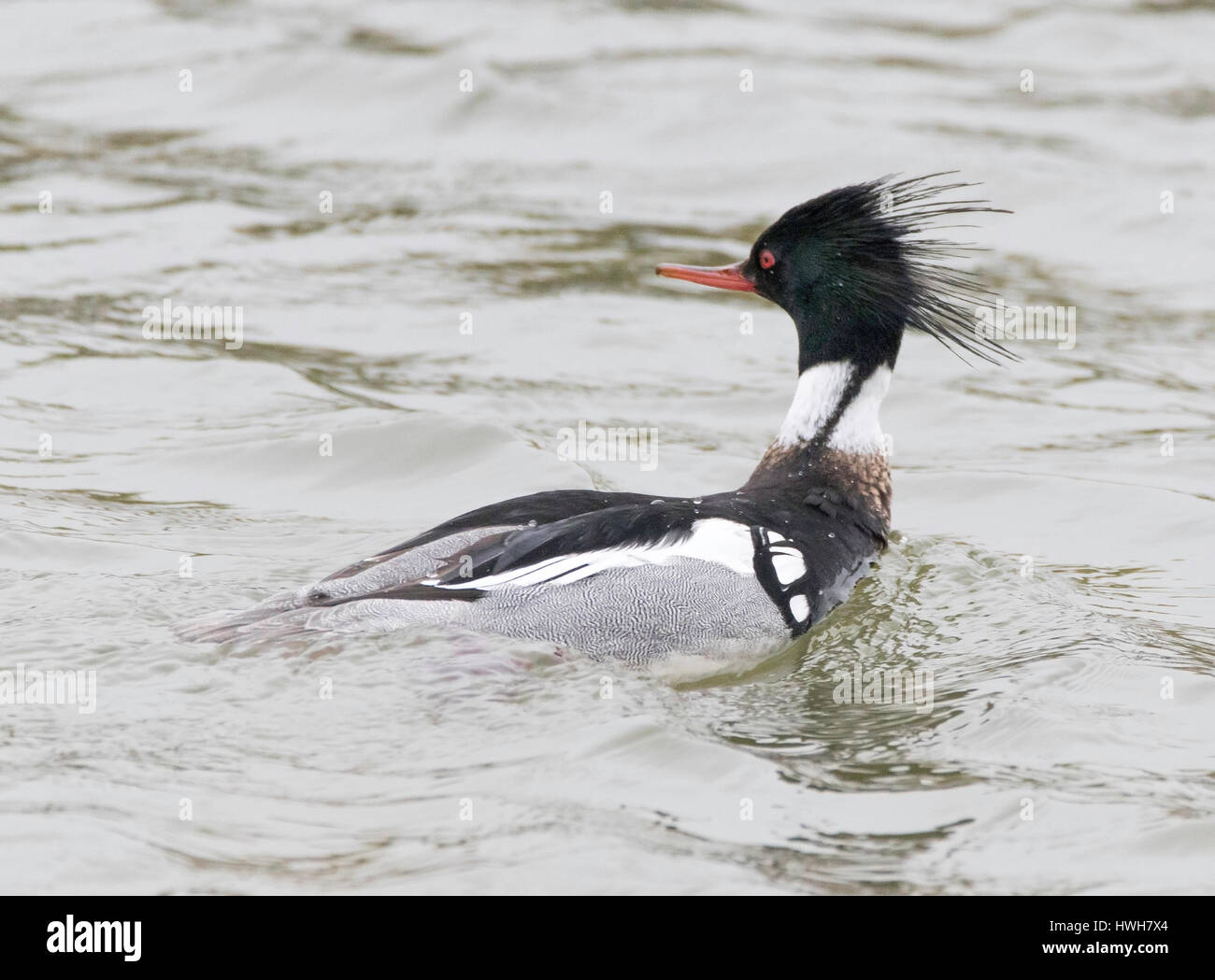Iceland hooge hi-res stock photography and images - Alamy