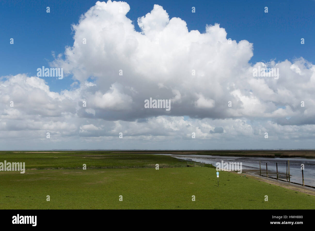 Jade mouth hi-res stock photography and images - Alamy