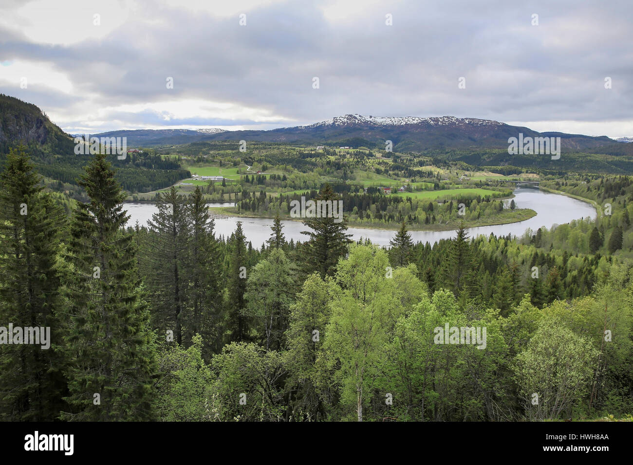 Norway grong forest hi-res stock photography and images - Alamy