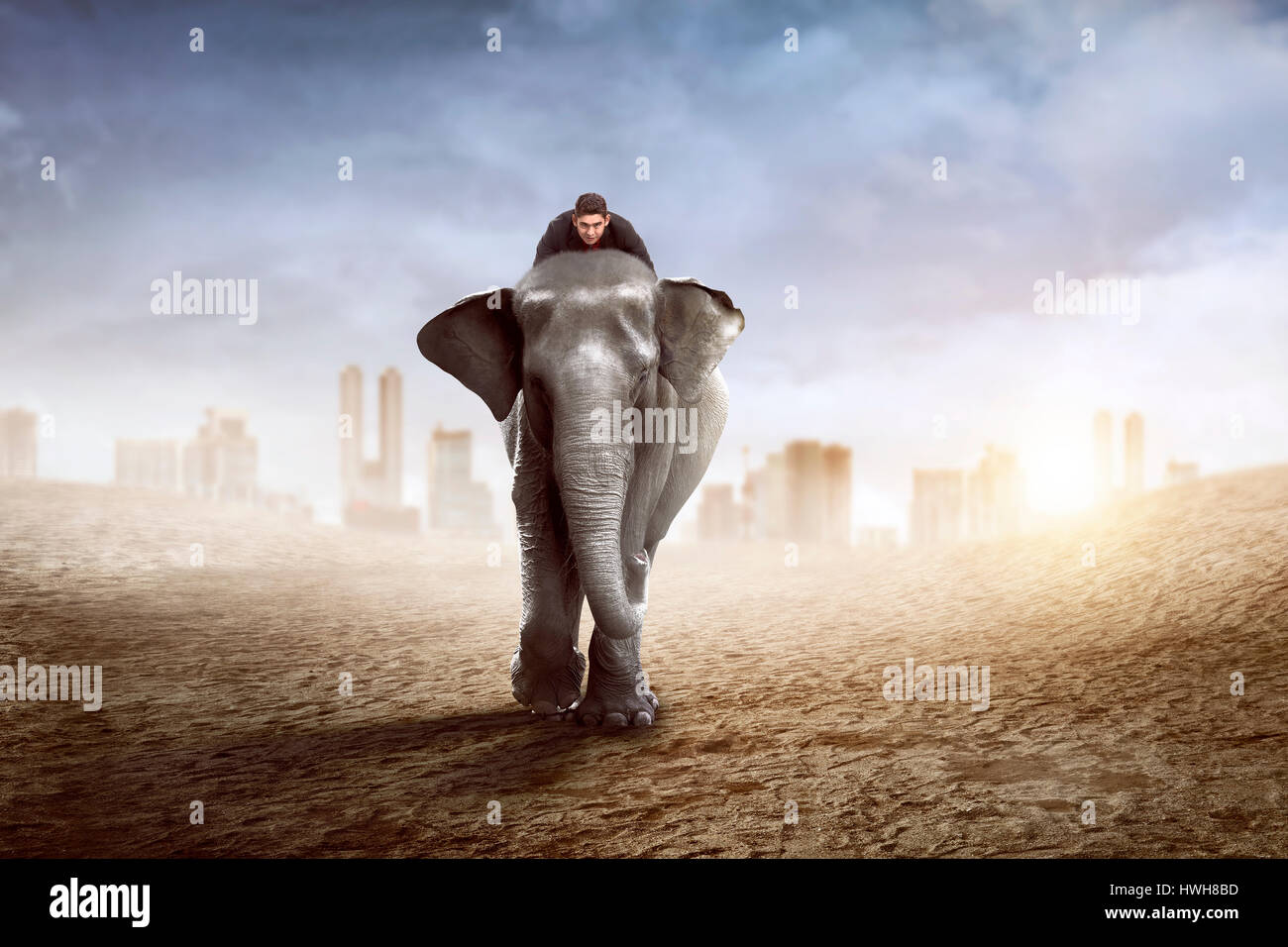 Asian business man riding elephant walking with city background Stock ...