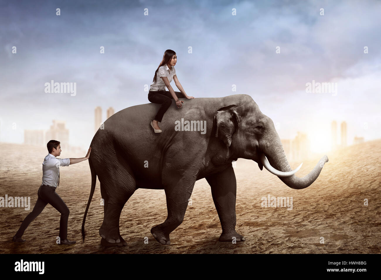 Female elephant leadership hi-res stock photography and images - Alamy