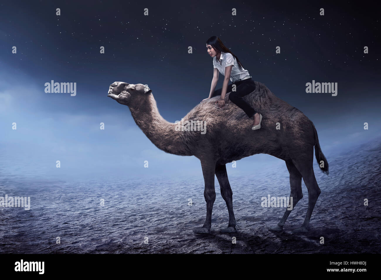 Woman riding camel hi-res stock photography and images - Alamy